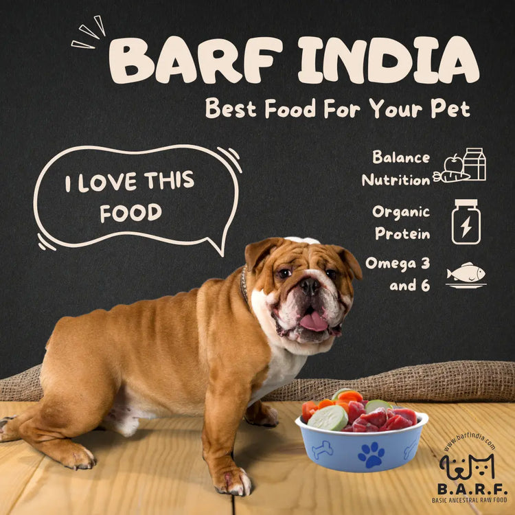 Learn About the BARF Diet in India: A Complete Guide to Raw Feeding.