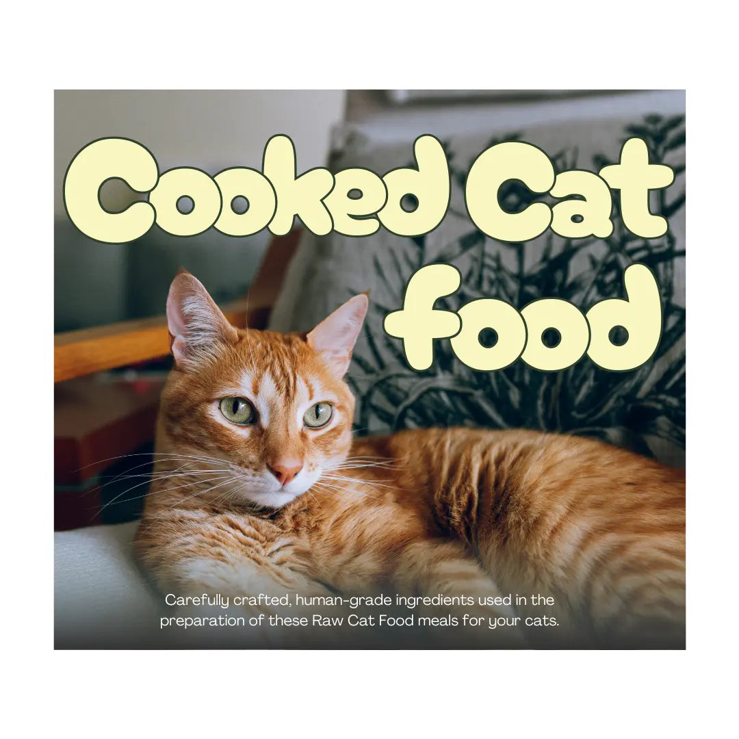 Cooked Cat Food: Wholesome, Gently Cooked Meals for Felines