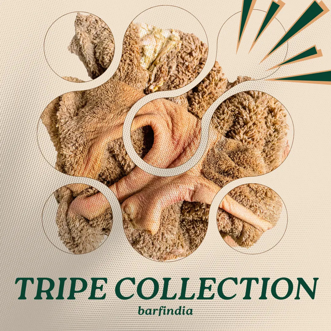 Green Tripe Superfood for Dogs: Enzymes, Probiotic & Mineral